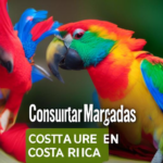 Consultar Marcas Registradas En Costa Rica - Costa Rica